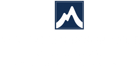 Mountain Insurance of Blue Ridge | Auto, Home, Commercial, & Life ...
